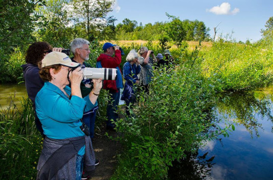 Binoculars vs Telescopes: When to Use Which? - OpticsMag