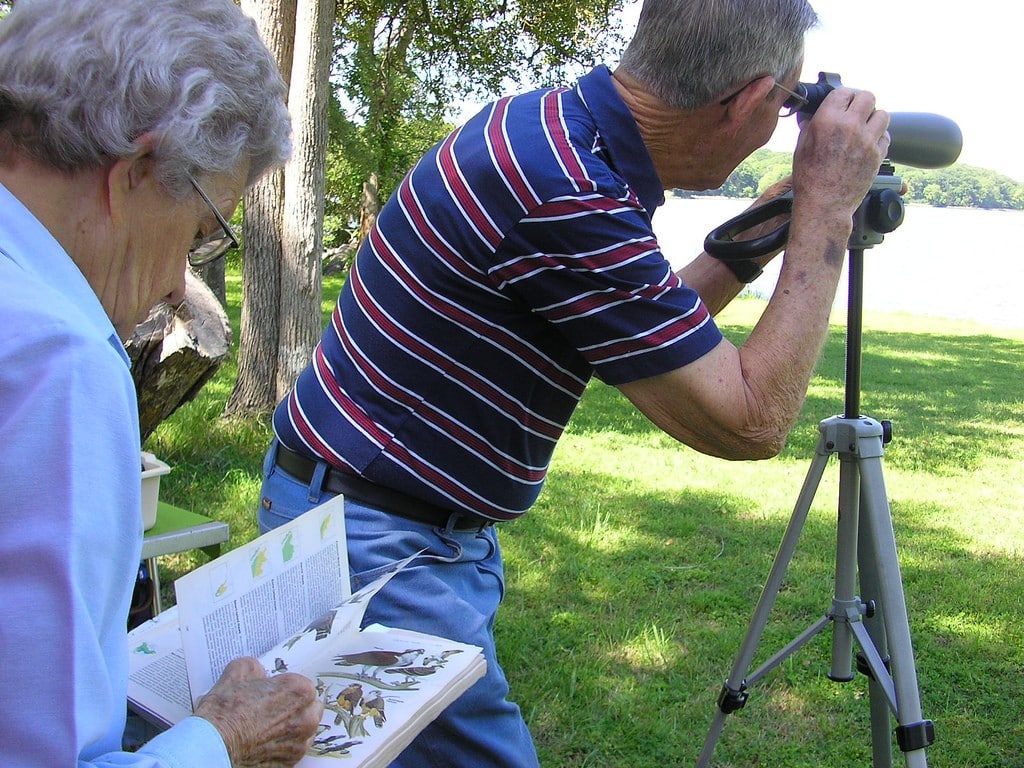 7 Crucial Tips for Beginning Bird Watchers - OpticsMag