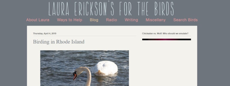 Top 20 Best Birding Blogs of 2026 That You Should Follow