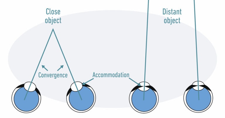How to Choose a Pair of Binoculars You’ll Love (Step-By-Step Guide 2024)