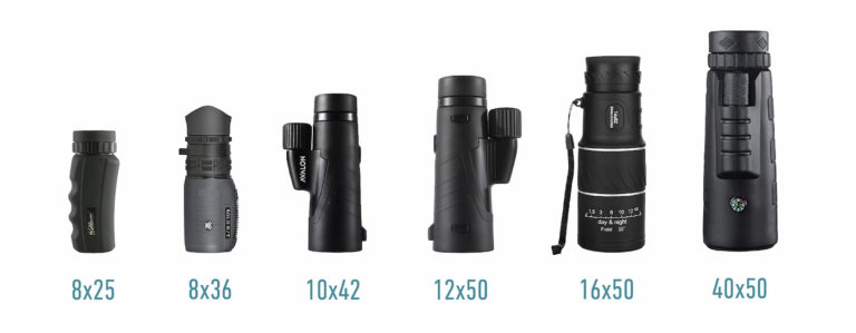 Monocular vs Binoculars: Which Should You Use? - Optics Mag