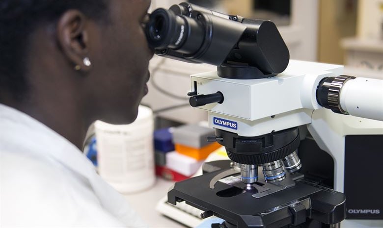 11 Types of Microscopes & Their Different Uses - OpticsMag