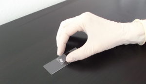 How to Use a Microscope: Beginner’s Guide (Easy Steps) - Optics Mag