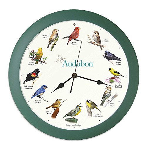 25 Gift Ideas for the Bird Lover & Bird Watcher in Your Life