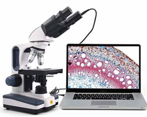 Light vs Electron Microscope: What's the Difference? (With Pictures ...