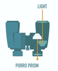 Porro Prism vs Roof Prism Binoculars: Which is Best? - Optics Mag
