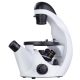 Inverted vs Upright Microscope: Which to Choose? - Optics Mag