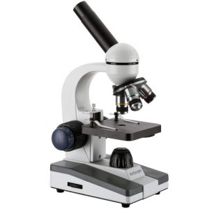 Inverted vs Upright Microscope: Which to Choose? - Optics Mag