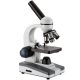 Inverted vs Upright Microscope: Which to Choose? - Optics Mag