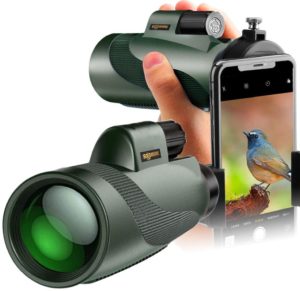 10 Best Monoculars for Bird-Watching of 2024 - Reviews & Top Picks - Optics Mag