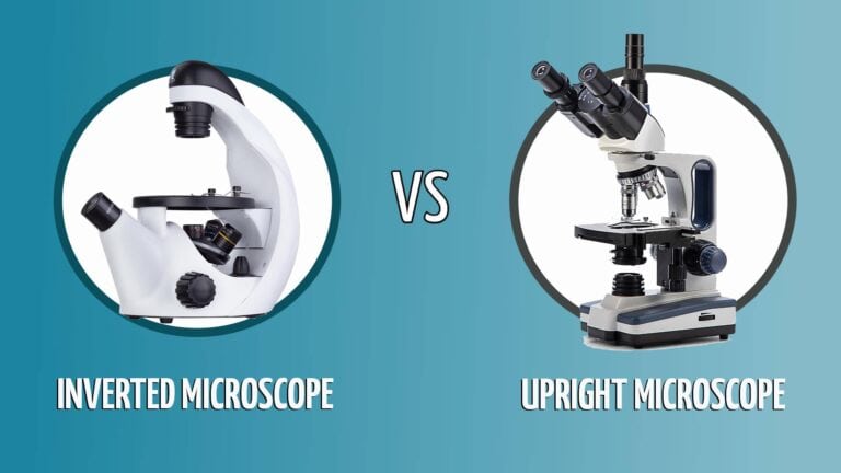 Inverted vs Upright Microscope: Which to Choose? - Optics Mag