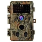 10 Best No-Glow Trail Cameras of 2024 - Reviews, Top Picks & Guide ...