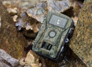 10 Best No-Glow Trail Cameras of 2024 - Reviews, Top Picks & Guide ...
