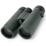 9 Best Compact Binoculars of 2023 - Top Picks & Reviews - Optics Mag