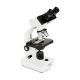 8 Best Compound Microscopes of 2024 - Reviews & Top Picks - Optics Mag