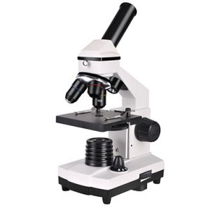 8 Best Compound Microscopes of 2024 - Reviews & Top Picks - Optics Mag