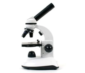 11 Different Types of Microscopes (With Pictures) - Optics Mag