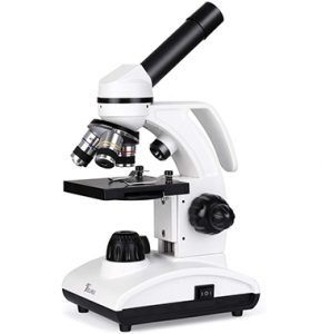 8 Best Compound Microscopes of 2024 - Reviews & Top Picks - Optics Mag