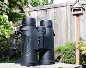 8 Best Binoculars for Eyeglass Wearers in 2025 - Reviews & Top Picks ...