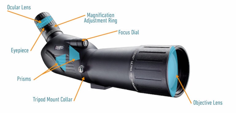 Angled vs Straight Spotting Scope: Which to Choose? - Optics Mag