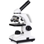 Simple vs. Compound Microscope: What's the Difference? - Optics Mag