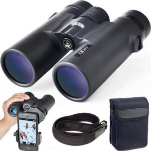 10 Best Binoculars for Bird Watching [Reviews 2026 ] - Optics Mag