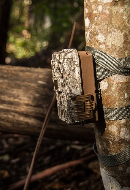 How to Use a Trail Camera for Security (7 Helpful Tips) - Optics Mag