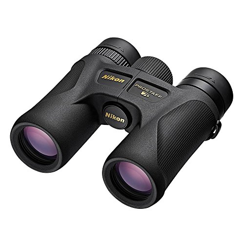 10 Best Binoculars for Bird Watching [Reviews 2026 ] - Optics Mag