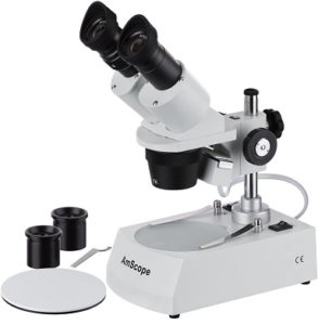 Stereo vs. Compound Microscopes: What’s The Difference? - Optics Mag