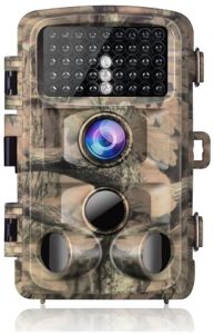 Black Flash vs Infrared Trail Cameras: Which Is Best for Your Needs ...