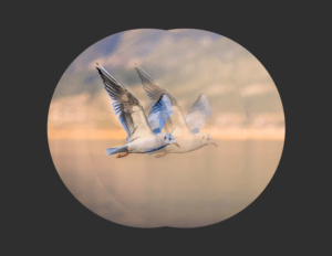 How to Collimate Binoculars: 9 Expert Tips - Optics Mag