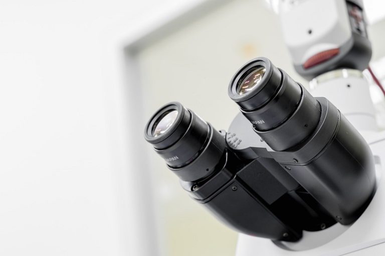4 Ways to Take Photos Through a Microscope - Optics Mag