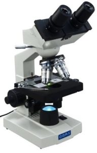 Stereo vs. Compound Microscopes: What’s The Difference? - Optics Mag