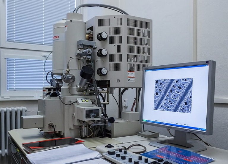 Transmission (TEM) vs Scanning (SEM) Electron Microscopes: What’s the ...