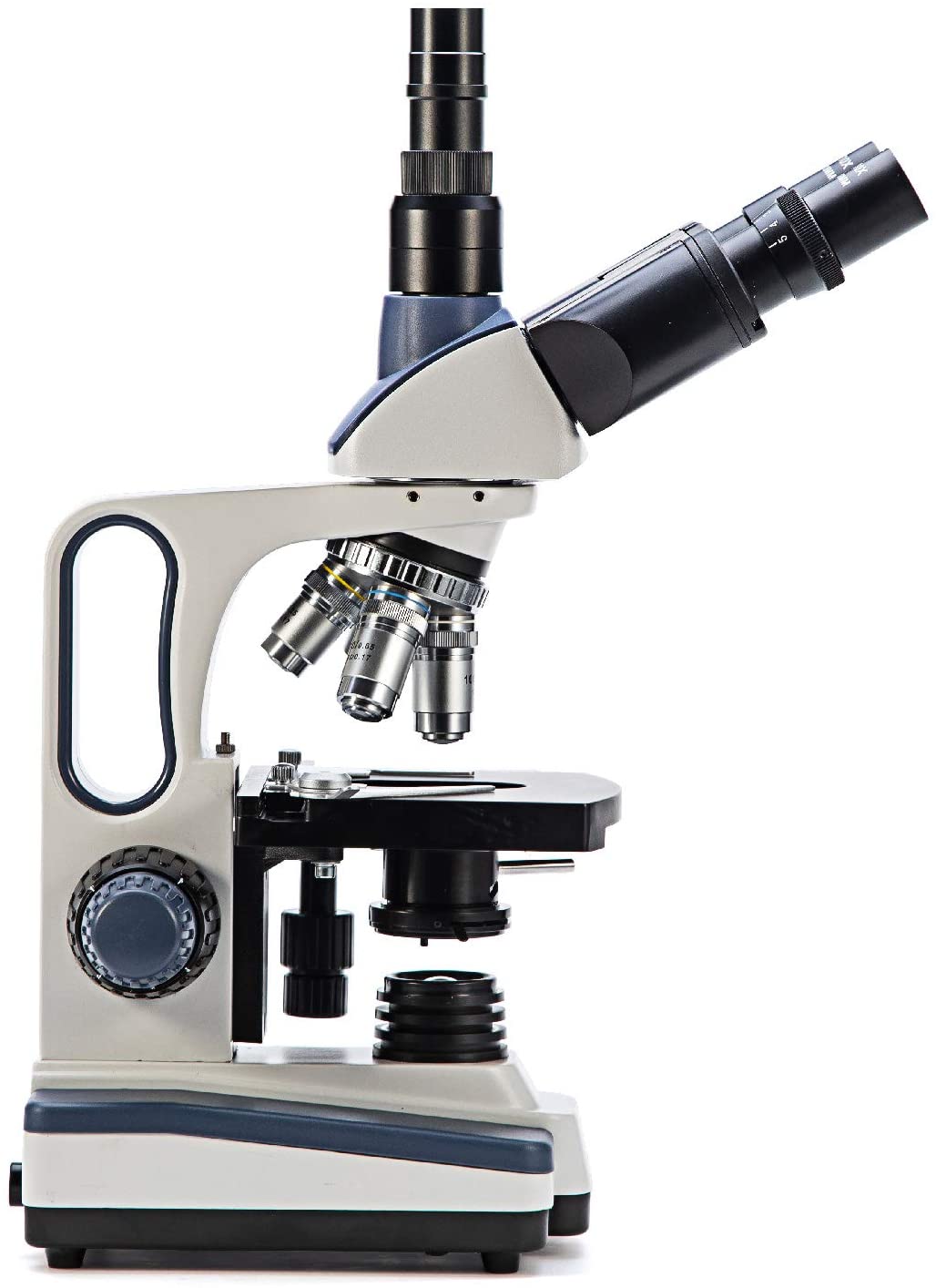 Compound Vs Dissecting Microscope What s The Difference Optics Mag Compound Vs Dissecting Microscope What s The Difference Optics Mag
