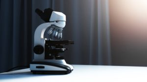What Are Light Microscopes & How Do They Work? Types, Info, Pictures ...