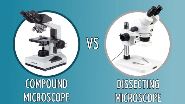 Compound Vs. Dissecting Microscope: What's the Difference? - Optics Mag