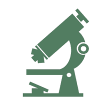 What Are Dissecting Microscopes Used For? What to Know! - Optics Mag