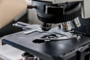 11 Interesting Microscope Facts - 2024 Update - Optics Mag