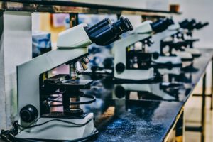 11 Interesting Microscope Facts - 2024 Update - Optics Mag