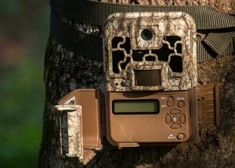 How to Program a Trail Camera (Easy Beginner's Guide) - Optics Mag