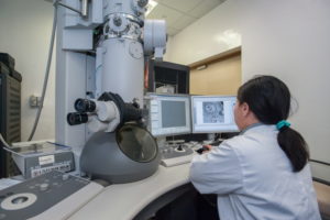 What Is a Transmission Electron Microscope? How Does It Work? - Optics Mag