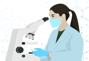 How to Use a Microscope: Beginner’s Guide (Easy Steps) - Optics Mag