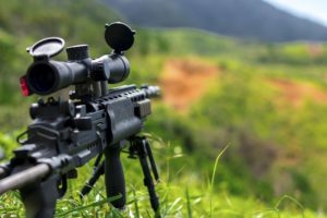 10 Best 1-4x Scopes in 2024 - Reviews & Top Picks - Optics Mag