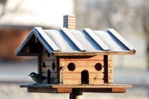 8 Types of Bird Houses: Which Is Right for You? (with Pictures ...