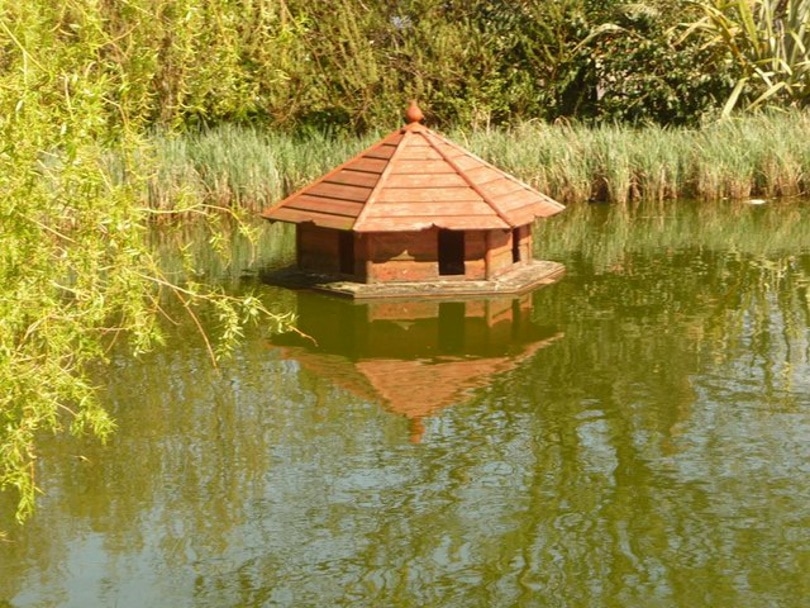 8 Types of Bird Houses: Which Is Right for You? (With Pictures ...