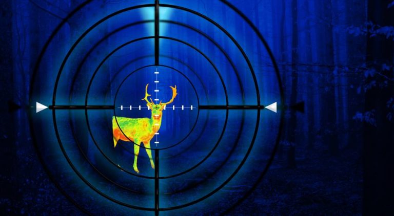 How to Sight in a Thermal Scope: 6 Easy Steps (With Pictures) - Optics Mag