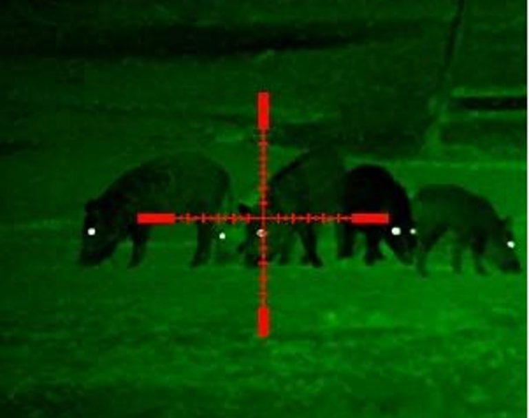6 Best Night Vision Scopes for Coyote Hunting [2025 Reviews] - Optics Mag