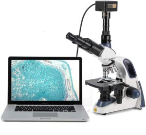 4 Ways to Take Photos Through a Microscope - Optics Mag