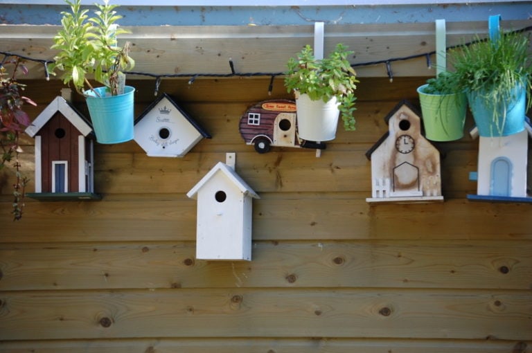 8 Types of Bird Houses: Which Is Right for You? (With Pictures ...